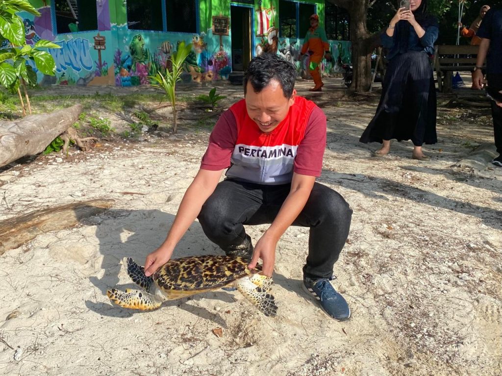 Ancaman Perubahan Iklim, PHE OSES Lepasliarkan Ribuan Penyu di Pulau ...