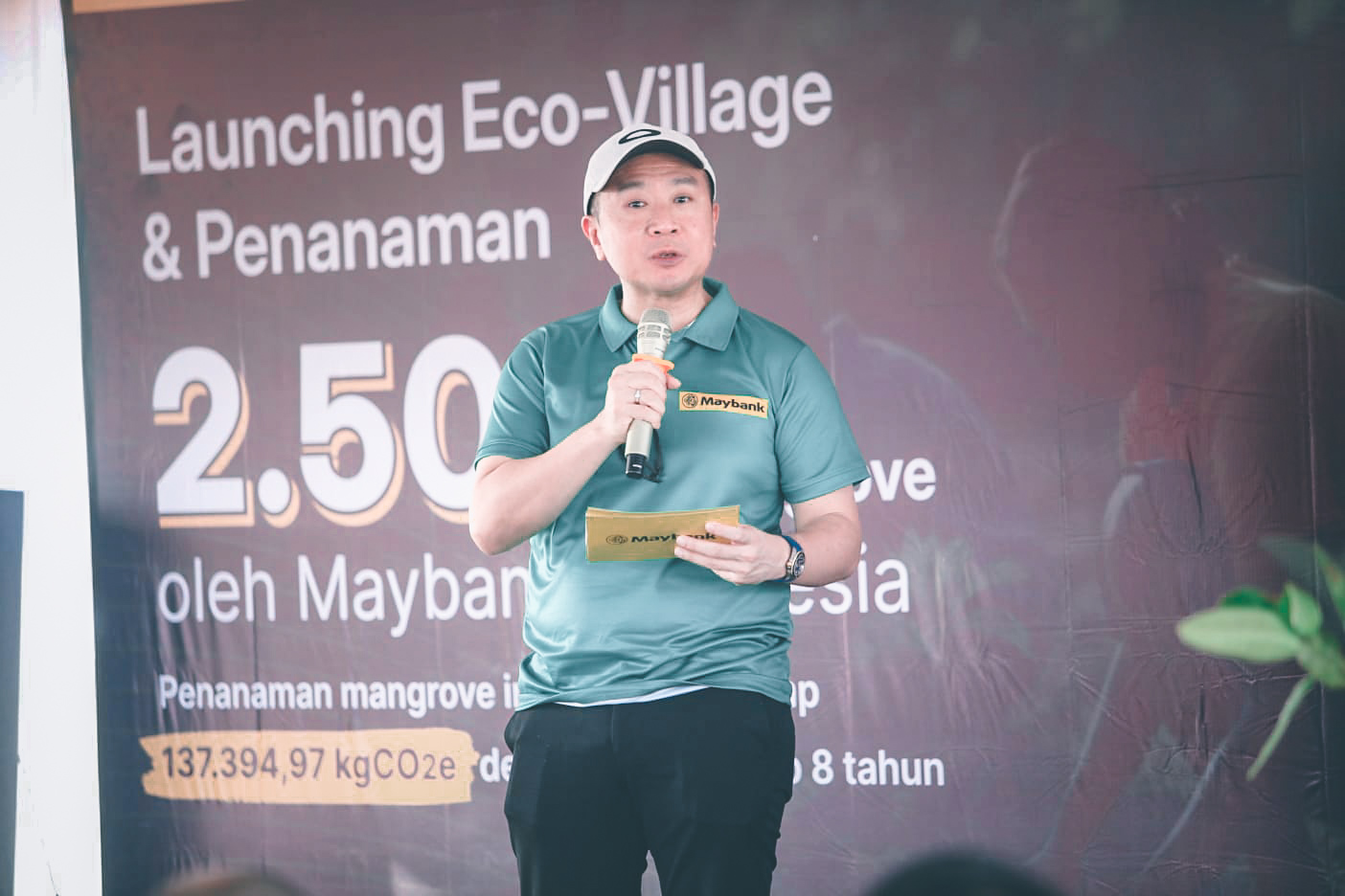 Maybank Indonesia Tanam 2.500 Mangrove | Infobanknews