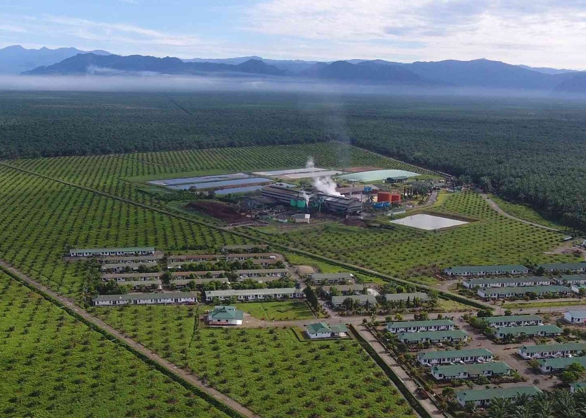 Sepak Terjang Wilmar Group, Perusahaan Sawit yang Kembalikan Dana Hasil Dugaan Korupsi ...