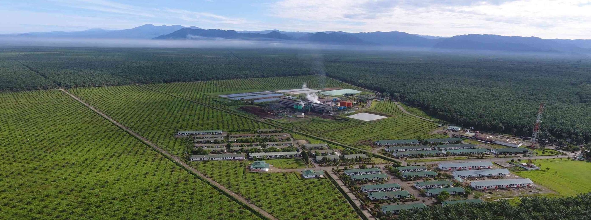 Sepak Terjang Wilmar Group, Perusahaan Sawit yang Kembalikan Dana Hasil Dugaan Korupsi ...